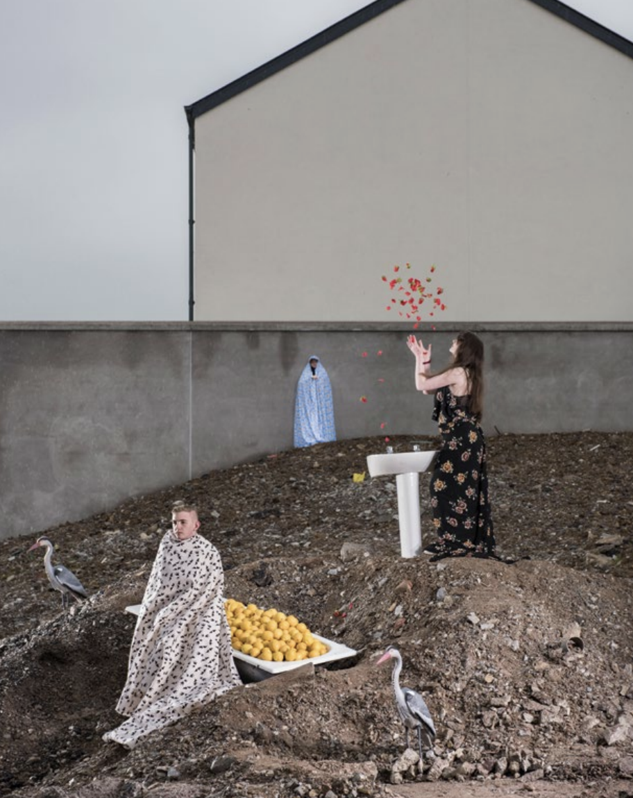 I Can Colour Between The Lines But I Choose Not To | Cork Midsummer ...